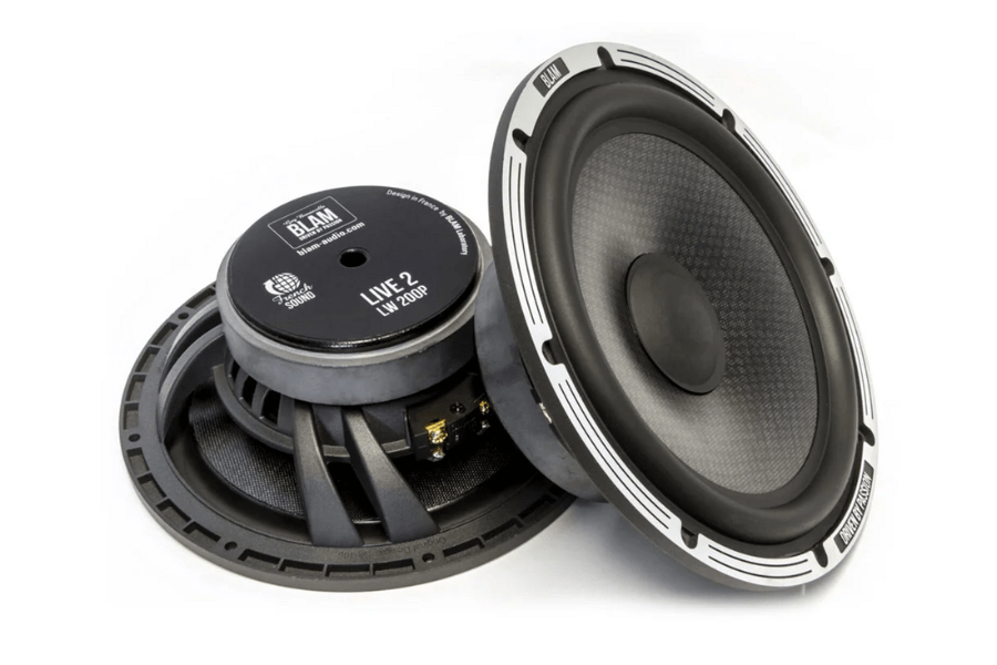 BLAM LIVE L200P - POWER 200mm (8 inch) 200W High-Performance 2-Way ...