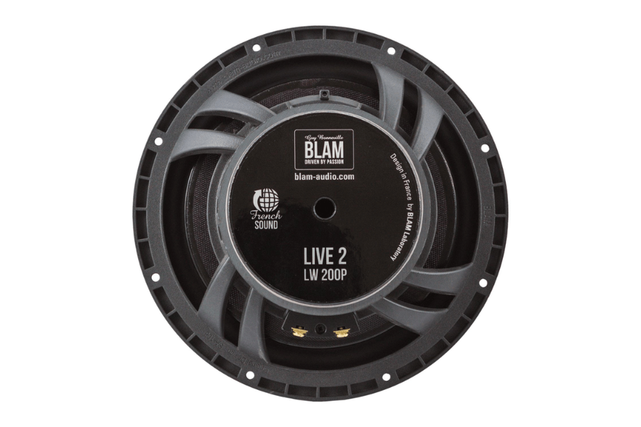 BLAM LIVE L200P - POWER 200mm (8 inch) 200W High-Performance 2-Way ...