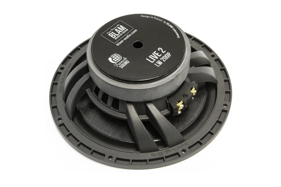 BLAM LIVE L200P - POWER 200mm (8 inch) 200W High-Performance 2-Way ...